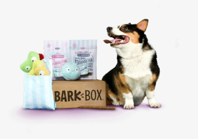 0 Replies 0 Retweets 0 Likes - Barkbox, HD Png Download , Transparent ...