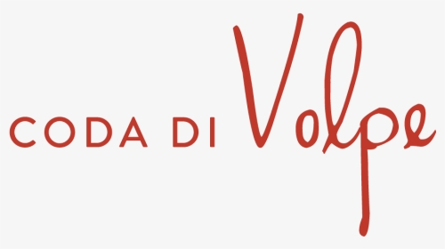 Coda Di Volpe Chicago Logo, HD Png Download , Transparent Png Image ...