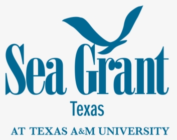 Seagrant Attexasam Blue - Texas Sea Grant Logo, HD Png Download ...