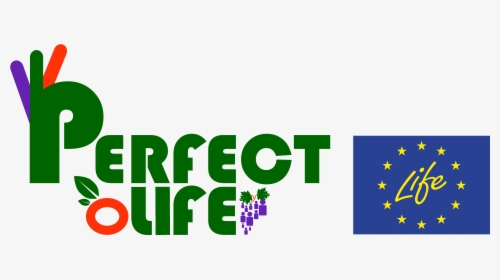 Perfect Life - Life, HD Png Download , Transparent Png Image - PNGitem