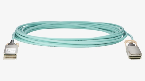 845420 B21, HD Png Download , Transparent Png Image - PNGitem