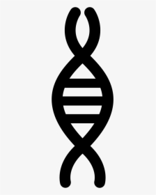 Chromosome - Cromosoma Logo, HD Png Download , Transparent Png Image ...