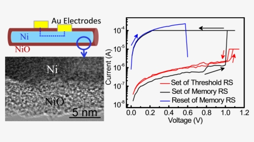 45 Transparent pngs Uploaded By Saad Slim - PngItem