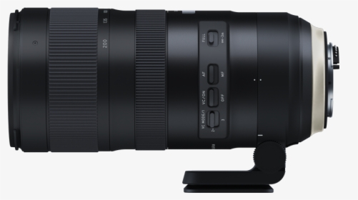 Lence Png, Transparent Png , Transparent Png Image - PNGitem