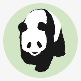 Logo Panda Font Transparent, HD Png Download , Transparent Png Image ...