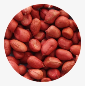 Groundnut PNG Images, Transparent Groundnut Image Download - PNGitem