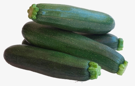Zucchini PNG Images, Transparent Zucchini Image Download - PNGitem