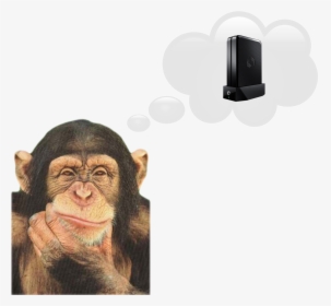 Chimp PNG Images, Transparent Chimp Image Download - PNGitem