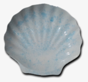 Shell PNG Images, Transparent Shell Image Download , Page 2 - PNGitem