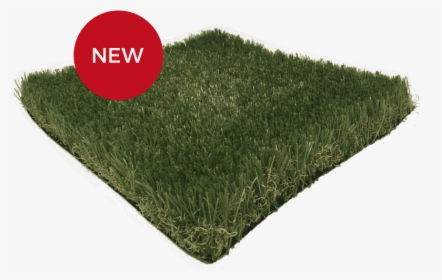 Gress Png, Transparent Png , Transparent Png Image - PNGitem