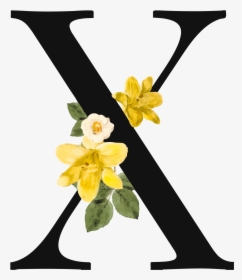 Dexandra, HD Png Download , Transparent Png Image - PNGitem