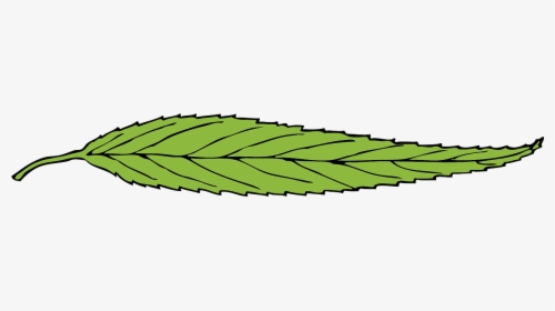 Thin PNG Images, Transparent Thin Image Download , Page 3 - PNGitem