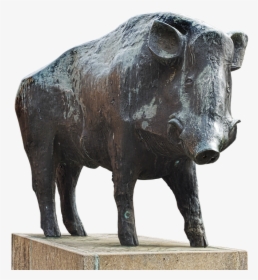 Boar PNG Images, Transparent Boar Image Download - PNGitem