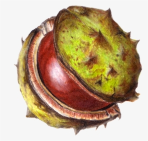 45 Transparent pngs Uploaded By Betty Chen - PngItem