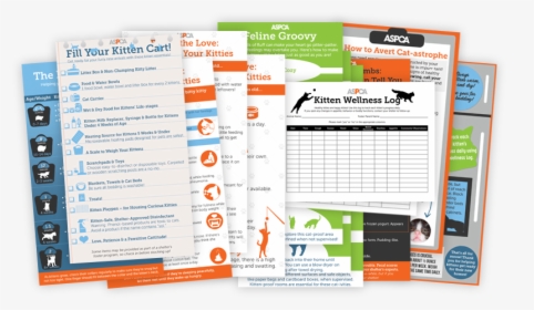 Aspca Logo Png, Transparent Png , Transparent Png Image - PNGitem