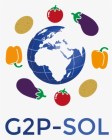 G2p-sol Logo - G2p Sol Logo, HD Png Download , Transparent Png Image ...
