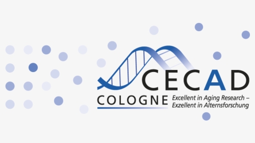 Cologne PNG Images, Transparent Cologne Image Download , Page 2 - PNGitem