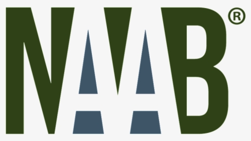 Naab Logo, HD Png Download , Transparent Png Image - PNGitem