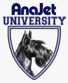 46 Transparent pngs Uploaded By Extancy Collections - PngItem