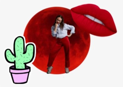 #miranda #mirandasings - Cactus, HD Png Download , Transparent Png ...