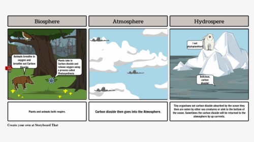 Fifth Day Genesis Cartoon, HD Png Download , Transparent Png Image ...