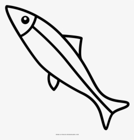 Sardine Coloring Page - Easy Sardine Drawing, HD Png Download ...