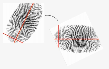 Crease Png, Transparent Png , Transparent Png Image - PNGitem