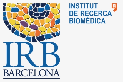 Irb - Irb Barcelona Logo, HD Png Download , Transparent Png Image - PNGitem