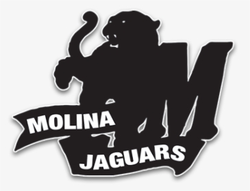 Molina Jaguars Football Data Srcset Https - Silhouette, HD Png Download ...
