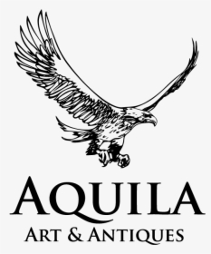 Aquila Arts And Antiques Logo - Aquila Logo, HD Png Download ...