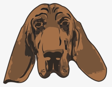 Sabueso Png, Transparent Png , Transparent Png Image - PNGitem