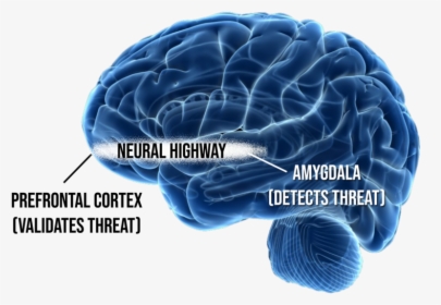 PNG Images, Transparent Image Download , Page 30180 - PNGitem