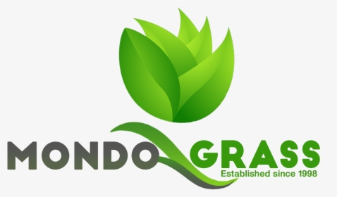 Esthablished Since - Graphic Design, HD Png Download , Transparent Png ...