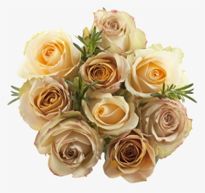 Rose Garden PNG Images, Transparent Rose Garden Image Download , Page 3 ...