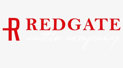 Congratulations! The PNG Image Has Been Downloaded (B4 Cattle Company ...