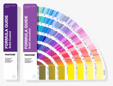 Pantone 165c, HD Png Download , Transparent Png Image - PNGitem