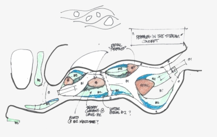 Pebbles - Line Art, HD Png Download , Transparent Png Image - PNGitem