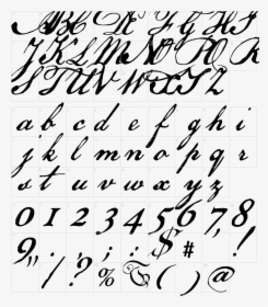 Declaration Font, HD Png Download , Transparent Png Image - PNGitem