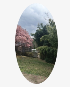 Yard PNG Images, Transparent Yard Image Download , Page 3 - PNGitem