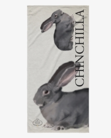 Hare PNG Images, Transparent Hare Image Download , Page 3 - PNGitem