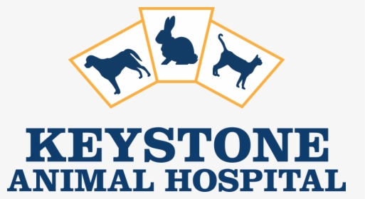 Keystone Animal Hospital - Hoshizaki, HD Png Download , Transparent Png ...