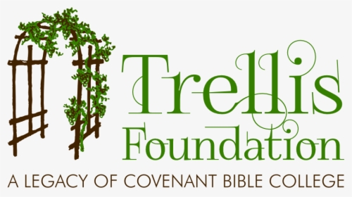 Trellis Logo Horiz - Name Trenton In Graffiti, HD Png Download ...