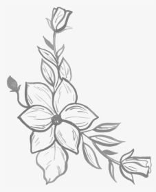 Ixia, HD Png Download , Transparent Png Image - PNGitem