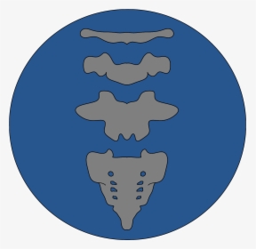 Practice Logo - Emblem, HD Png Download , Transparent Png Image - PNGitem