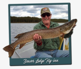 Pike PNG Images, Transparent Pike Image Download , Page 2 - PNGitem