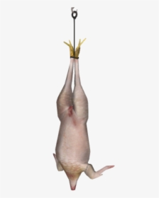 Dead Chicken Png, Transparent Png , Transparent Png Image - PNGitem