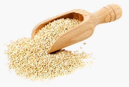 Sesame PNG Images, Transparent Sesame Image Download , Page 5 - PNGitem