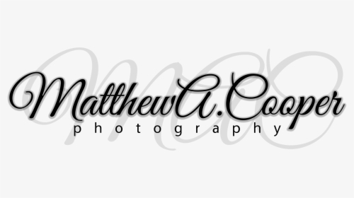 Matthew Cooper - Beauty, HD Png Download , Transparent Png Image - PNGitem