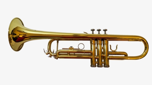 Trumpet PNG Images, Transparent Trumpet Image Download , Page 6 - PNGitem