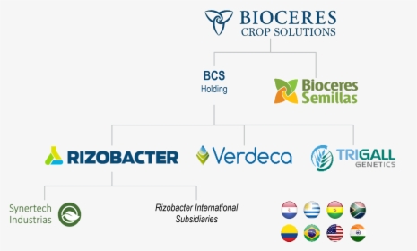 Rizobacter, HD Png Download , Transparent Png Image - PNGitem